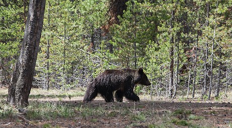 Newsela | Nonfiction Literacy and Current Events